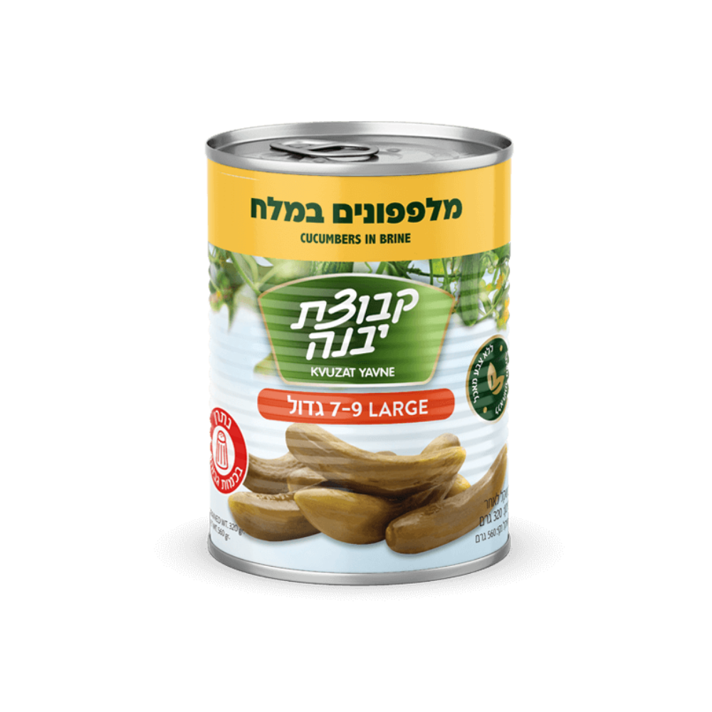 Kvuzat Yavne Pickled Cucumbers in Brine 540g – Solly's Online Grocery